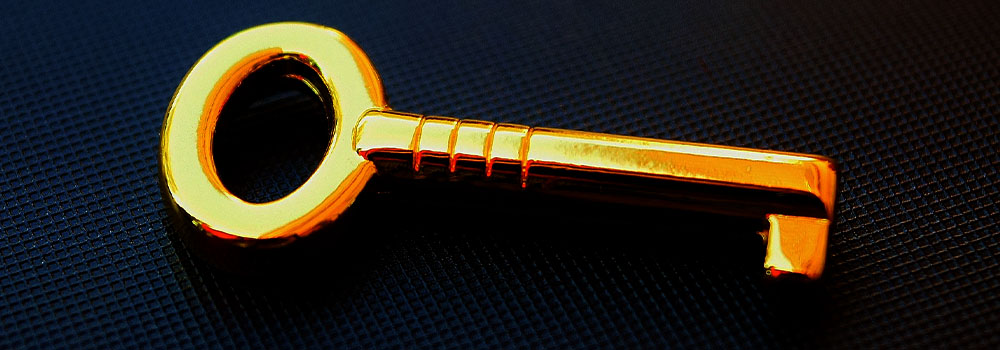 The key to consciousness